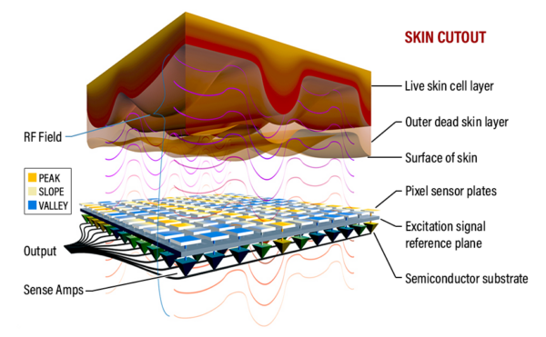 Fingerprint Readers for Windows » Verifi P2000 & P5100